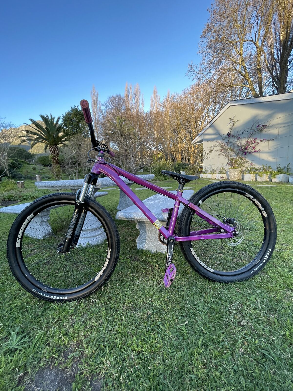 Polygon Trid Sam Reynolds LTD Limited Edition | Dirt Jump Bikes | Bike Hub