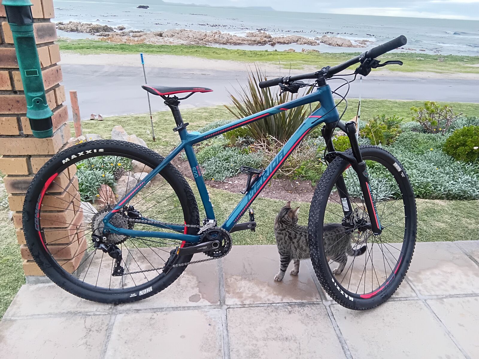 Merida Big Nine 500 | Hardtail Mountain Bikes | Bike Hub