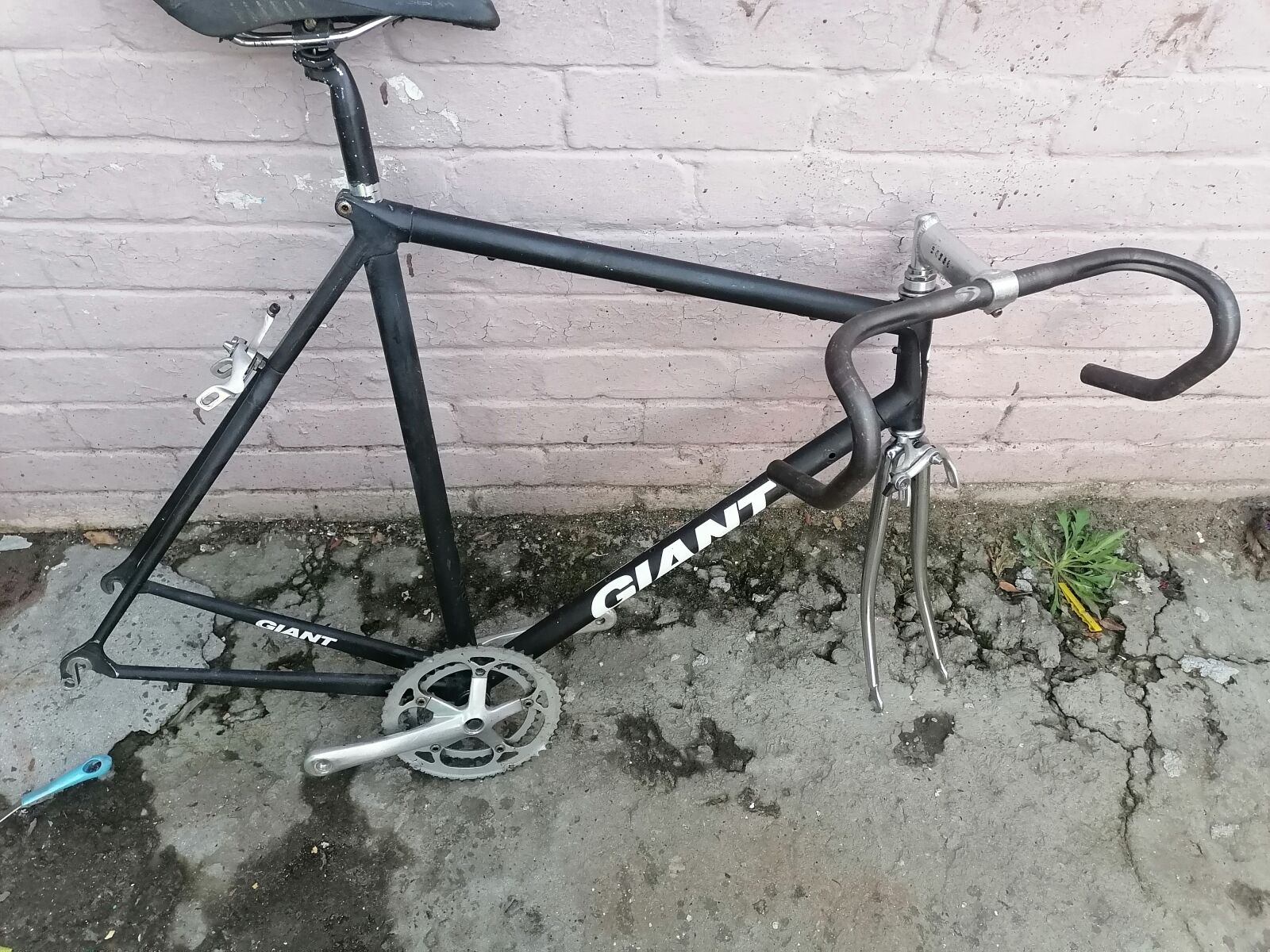 Vintage Giant carbon frame | Road Bike Frames | Bike Hub