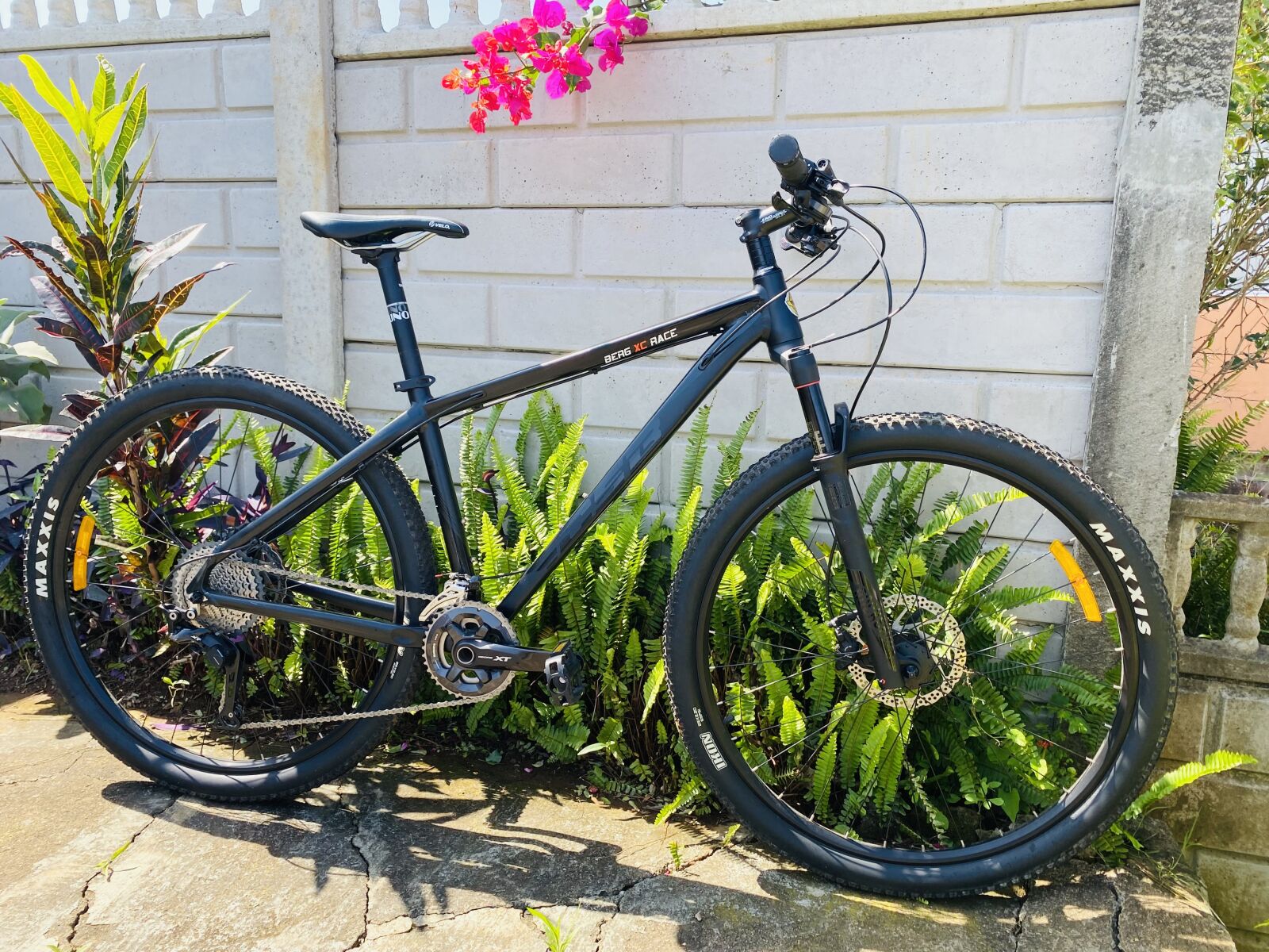 CSB Berg XC Race 29er Medium | Hardtail Mountain Bikes | Bike Hub