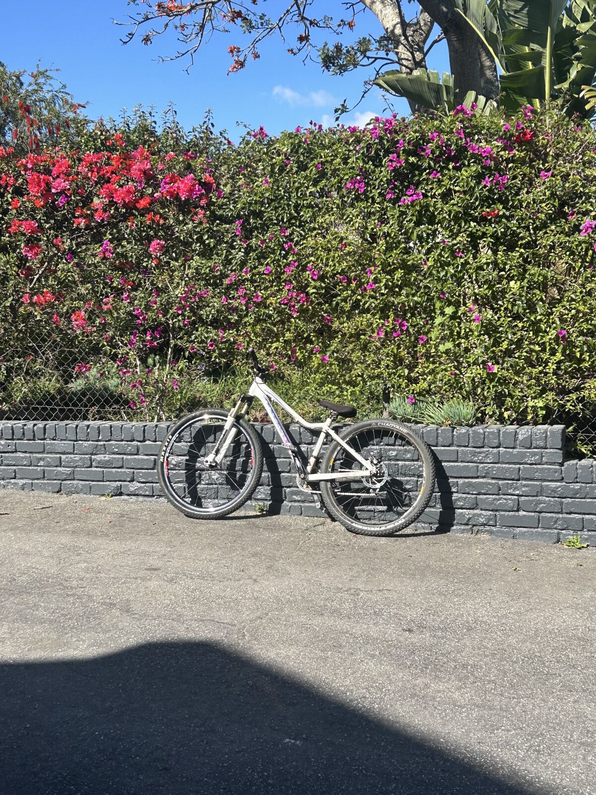 Giant Dirt jump | BMX Bikes | Bike Hub