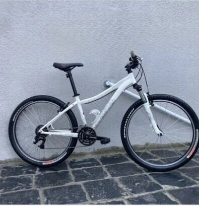 LADIES/GIRLS 26 Inch SPECIALIZED mountain bike | Hardtail Mountain ...