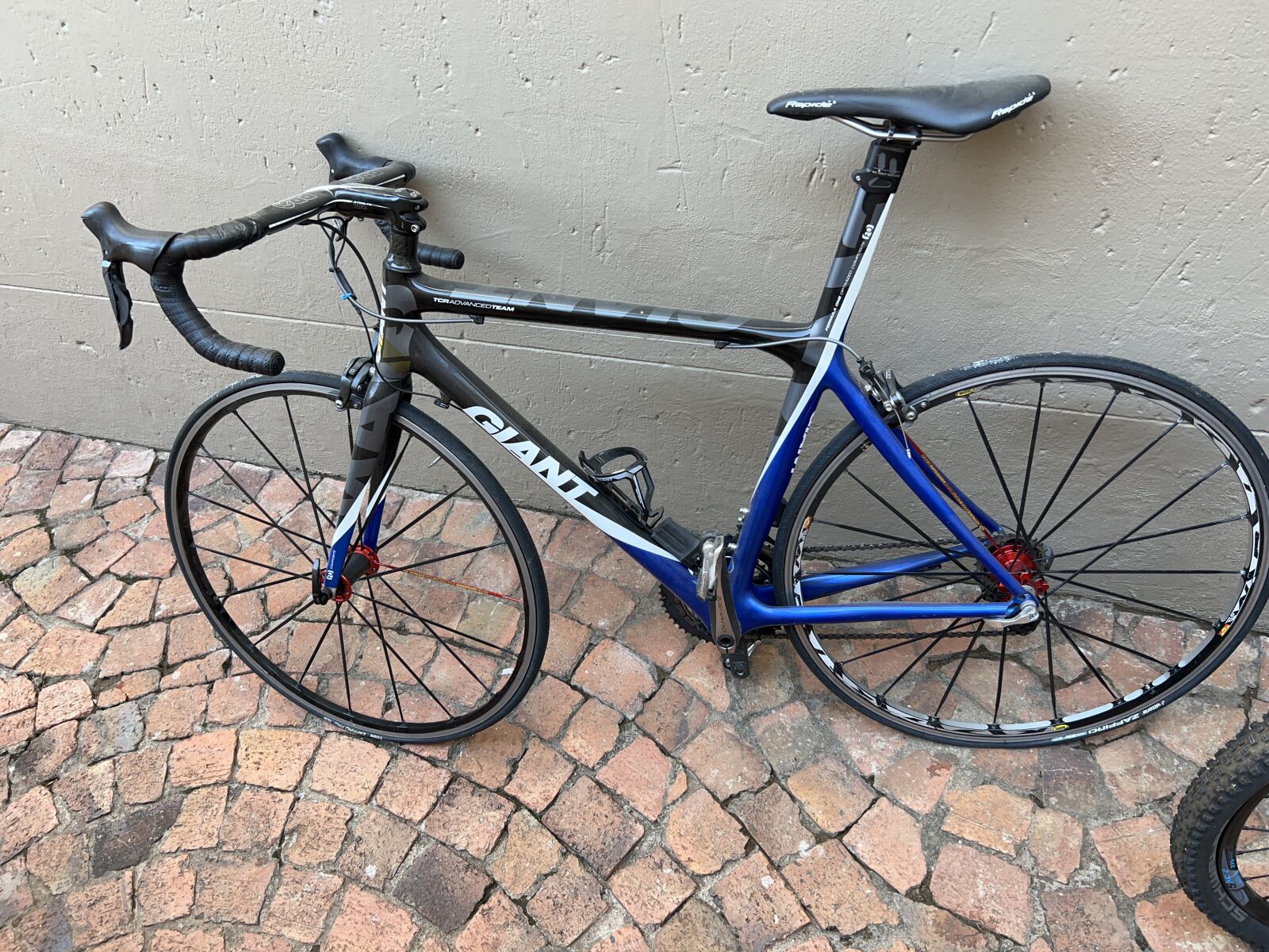 Giant TCR Advanced Team | Road Bikes | Bike Hub