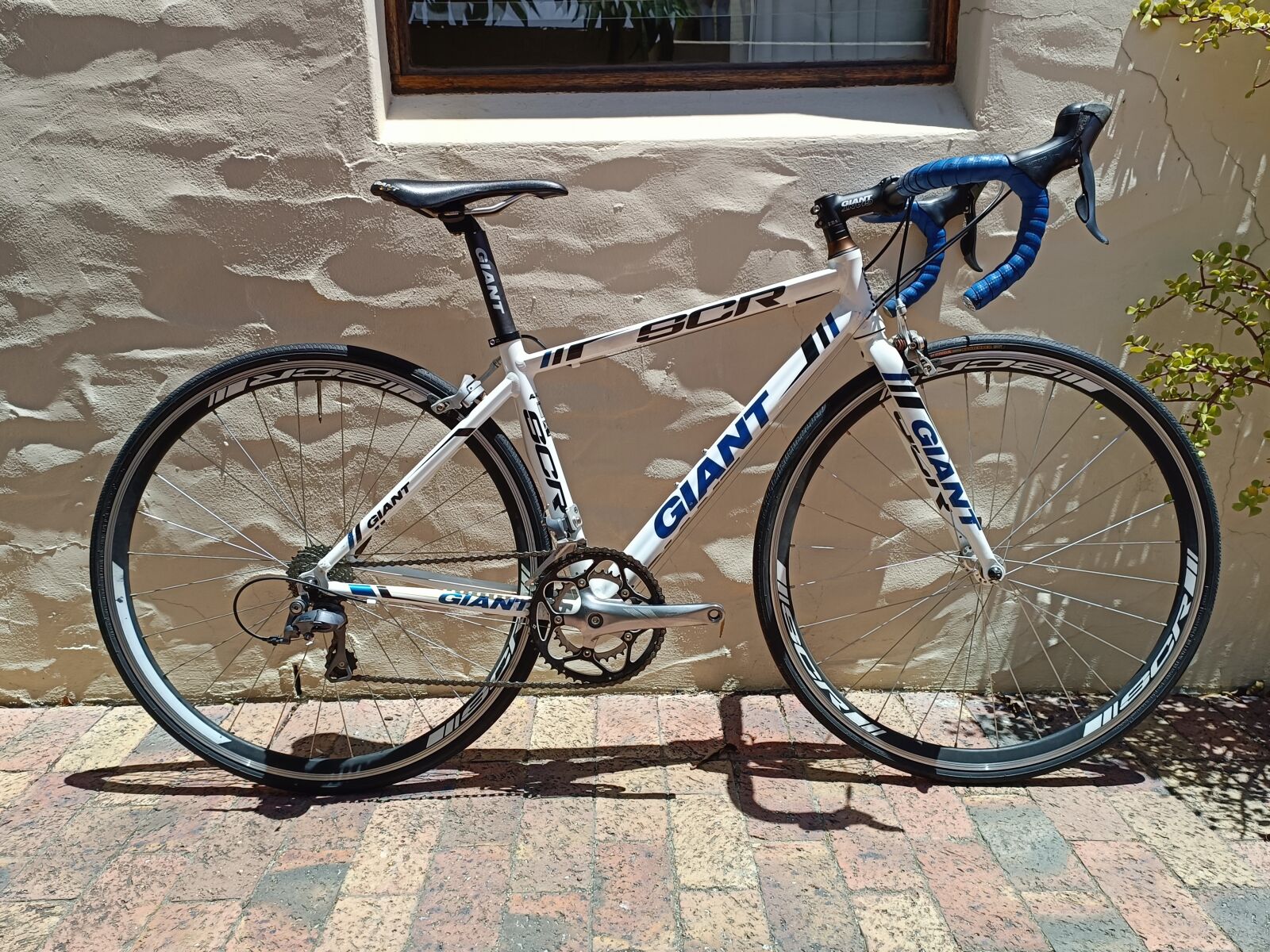 XS Giant SCR | Road Bikes | Bike Hub