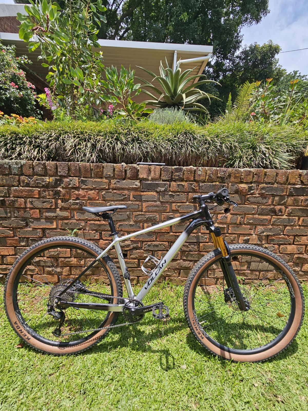 Large 2025 Castor Volcan 29" | Hardtail Mountain Bikes | Bike Hub
