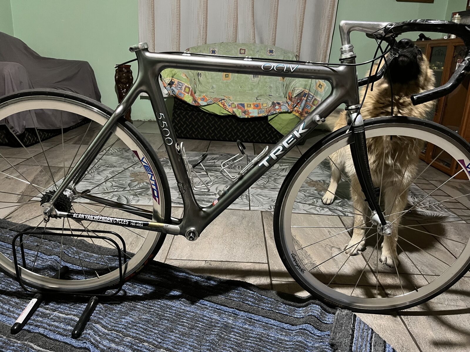 Classic Trek 5500 OCLV Frame Set *SOLD* | Road Bike Frames | Bike Hub