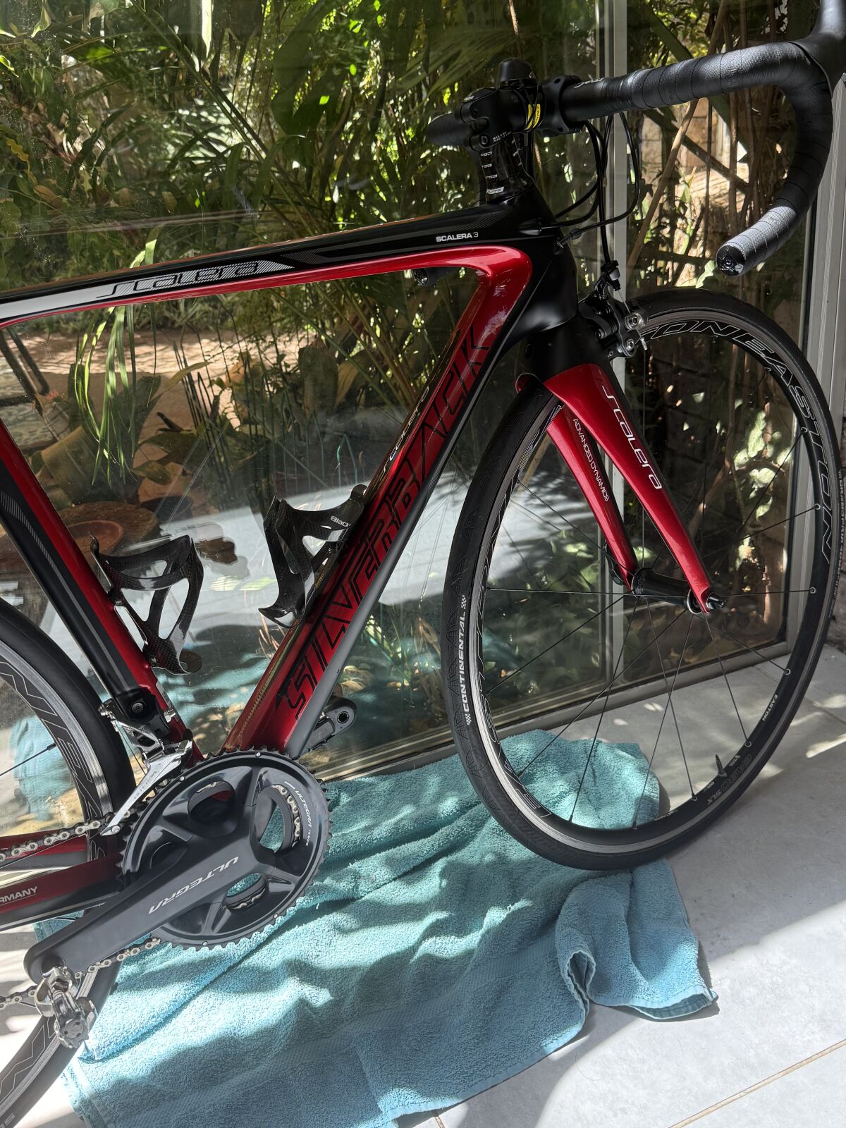 Silverback Scalera full carbon road bike SMALL | Road Bikes | Bike Hub