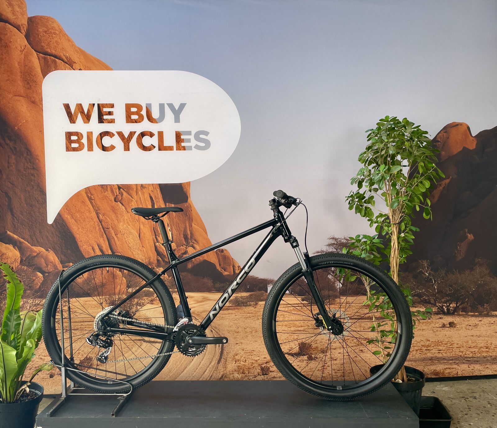 Norco Storm (XL) BM11580-Make us an offer | Hardtail Mountain Bikes ...