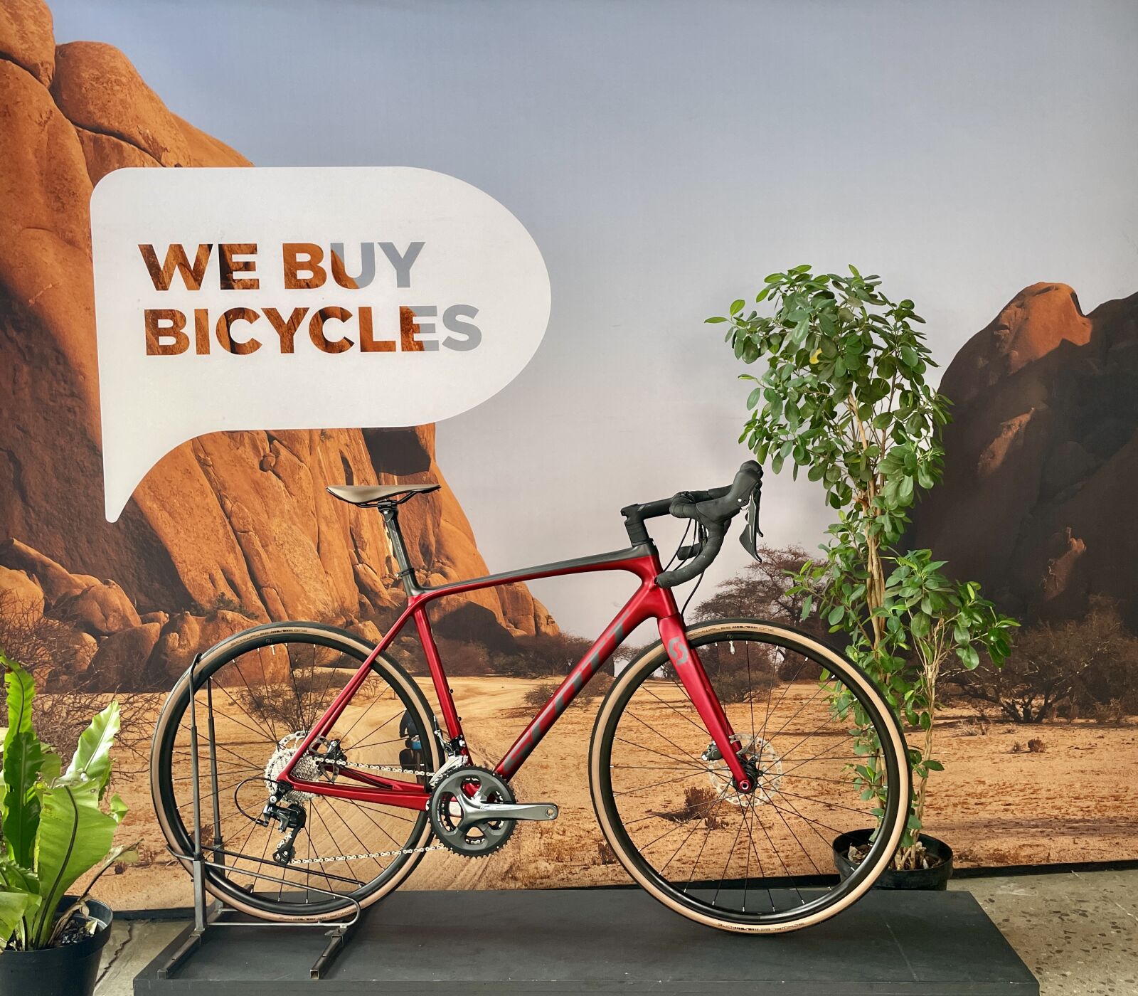 Pre-Owned Scott Addict (54cm) BMS111 | Road Bikes | Bike Hub