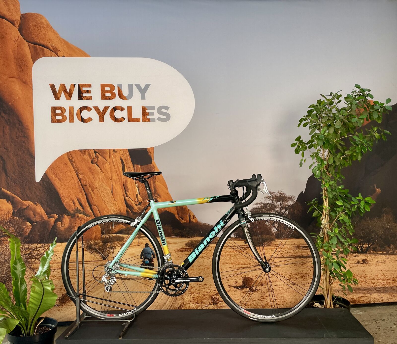 Bianchi SL3 Reparto(54cm) BM11645-Make us an offer | Road Bikes | Bike Hub