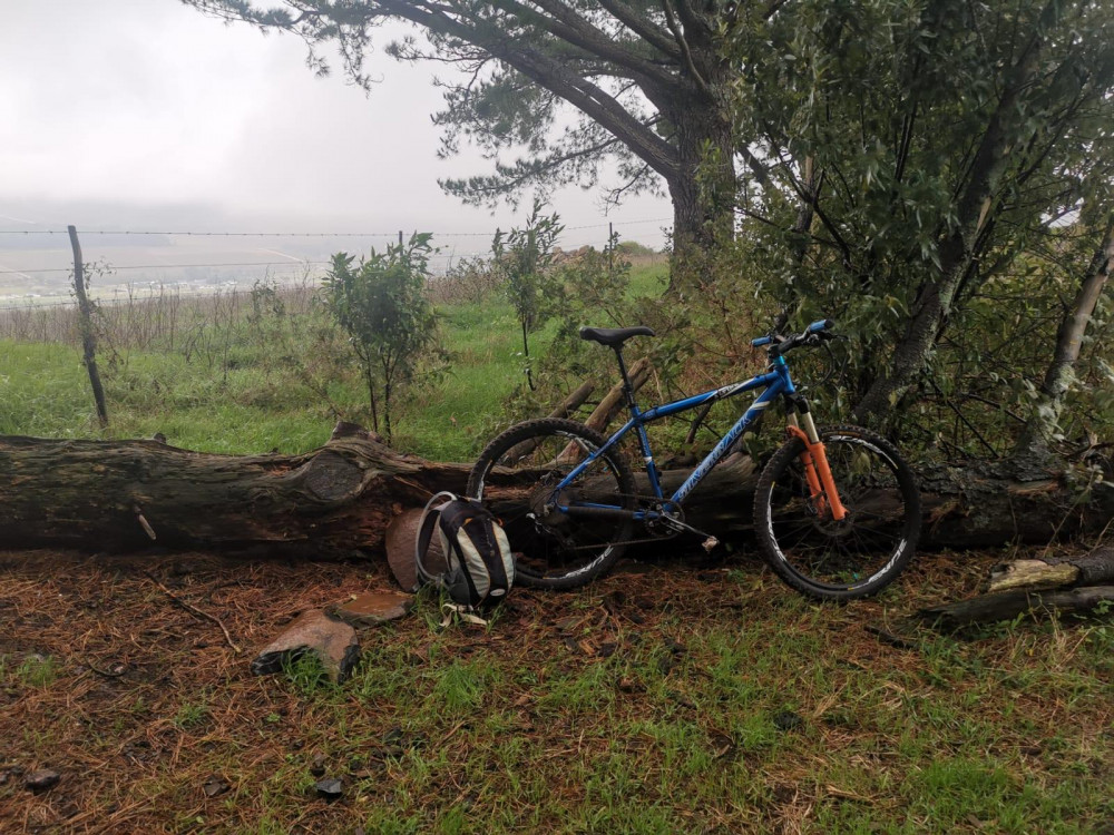 Stolen: Silverback Alpine 2008 | Bike Hub