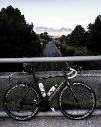 Merida Comp SL wheelset | Road Bike Wheels | Bike Hub