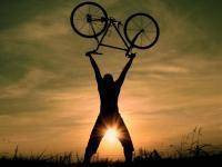 Merida 96 Team edition 2017 | Bike Hub