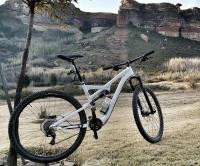 Trigon EX Curve Blade - Carbon Fork & Steerer | Road Bike Forks | Bike Hub