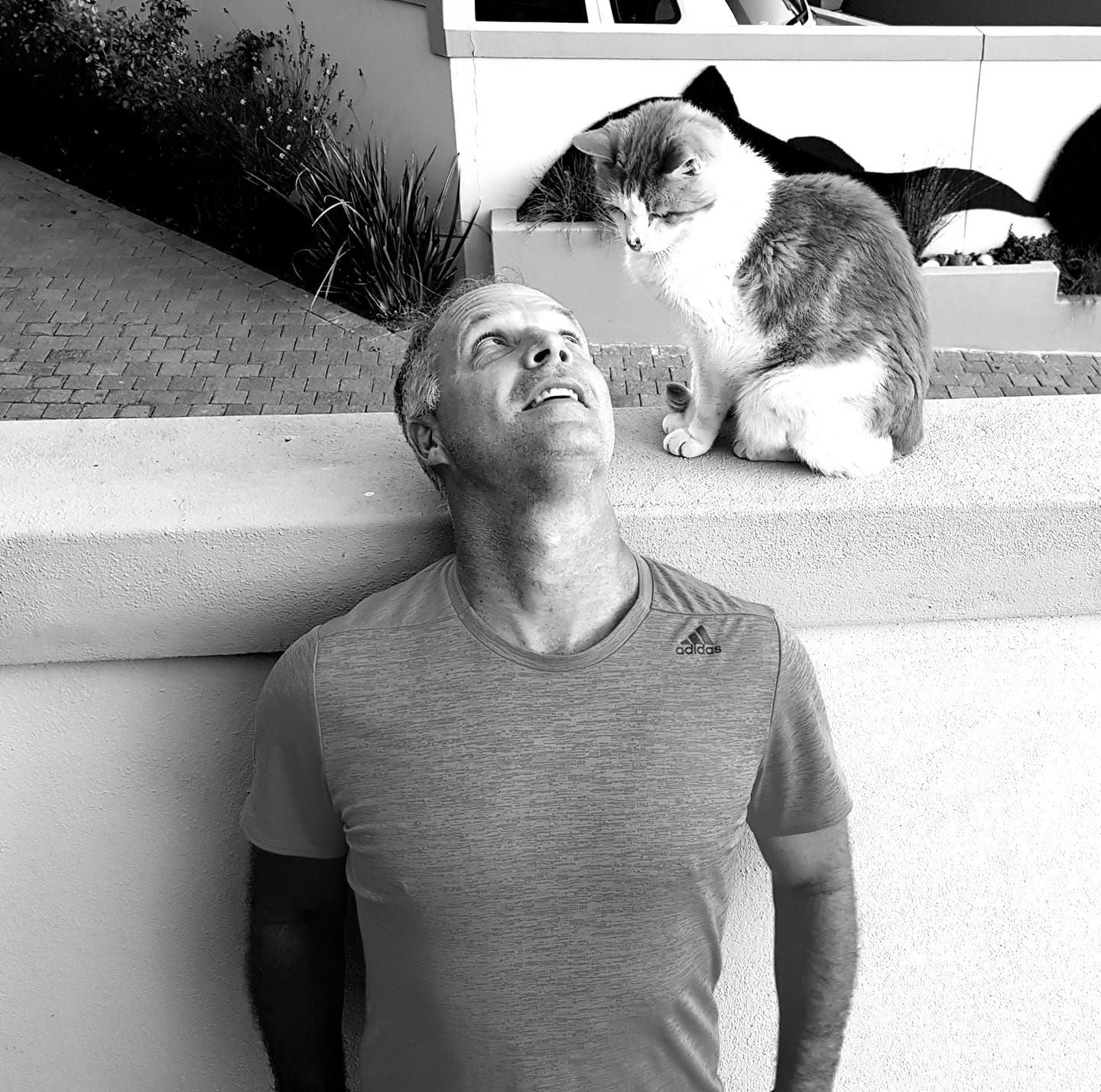 Specialized Epic S Works ..large | Dual Suspension Mountain Bikes ...