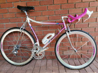 DRASTICALLY REDUCED: Raleigh Dyna-Tech | Vintage Bikes | Bike Hub