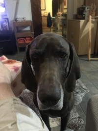 Partial Deore 12 speed complete group set | Complete Groupsets | Bike Hub