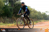 Raleigh LTD Edition Yellow and Midnight Blue | Road Bikes | Bike Hub